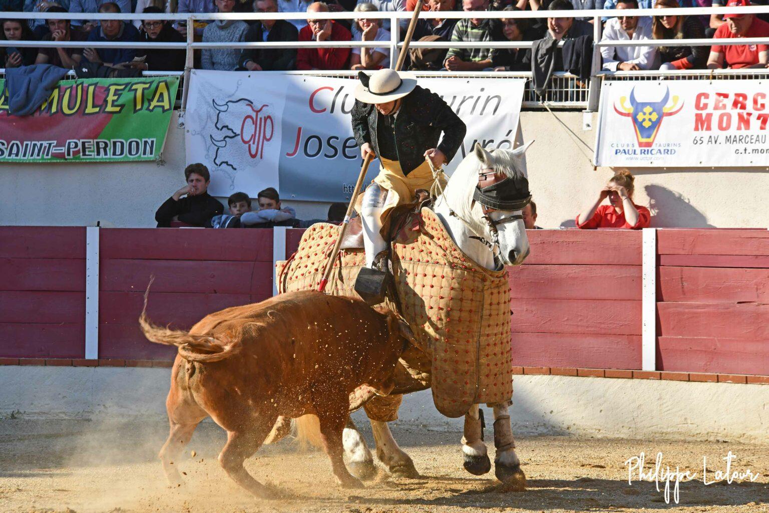 La pique vue par un picador - Tertulias